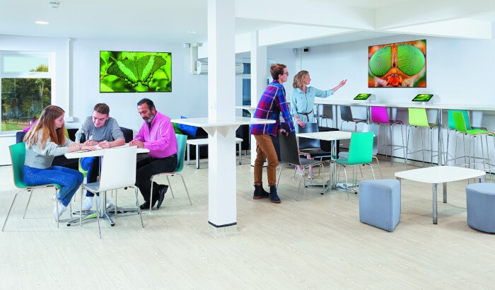 Professional Displays powered by Android | Philips